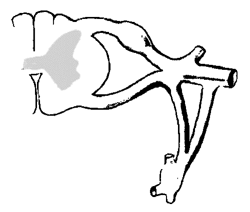 Cord Coloring Page Coloring Pages